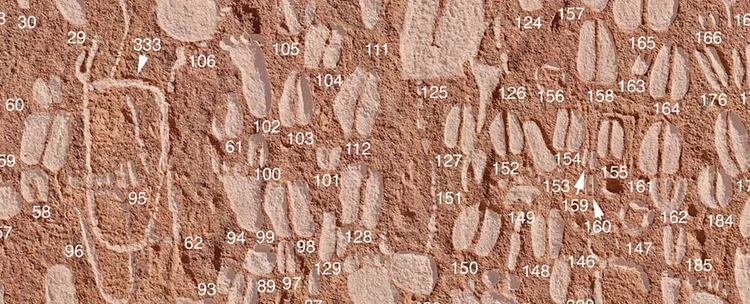 Prehistoric Carvings Unlock the Mysteries of Ancient Animal Behavior