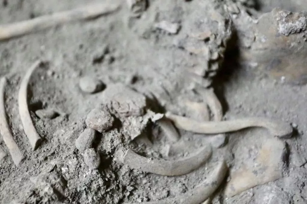 Ancient Skeleton Discovery in Thailand May Transform Southeast Asian ...
