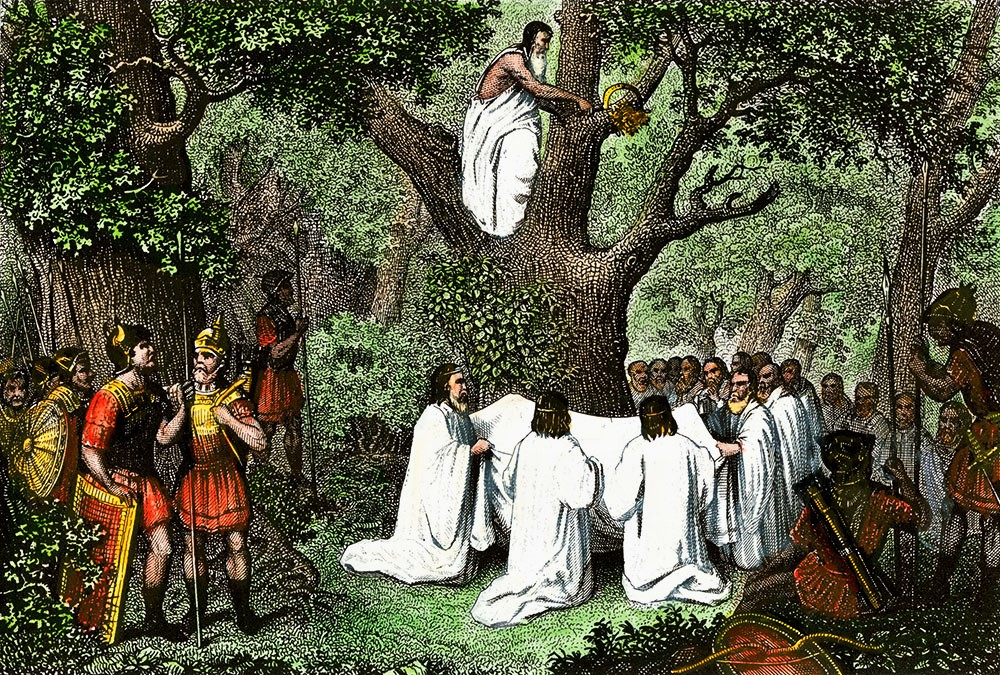 The Sacred Trees of Ancient Pagan Cultures