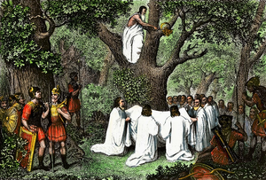 The Sacred Trees of Ancient Pagan Cultures