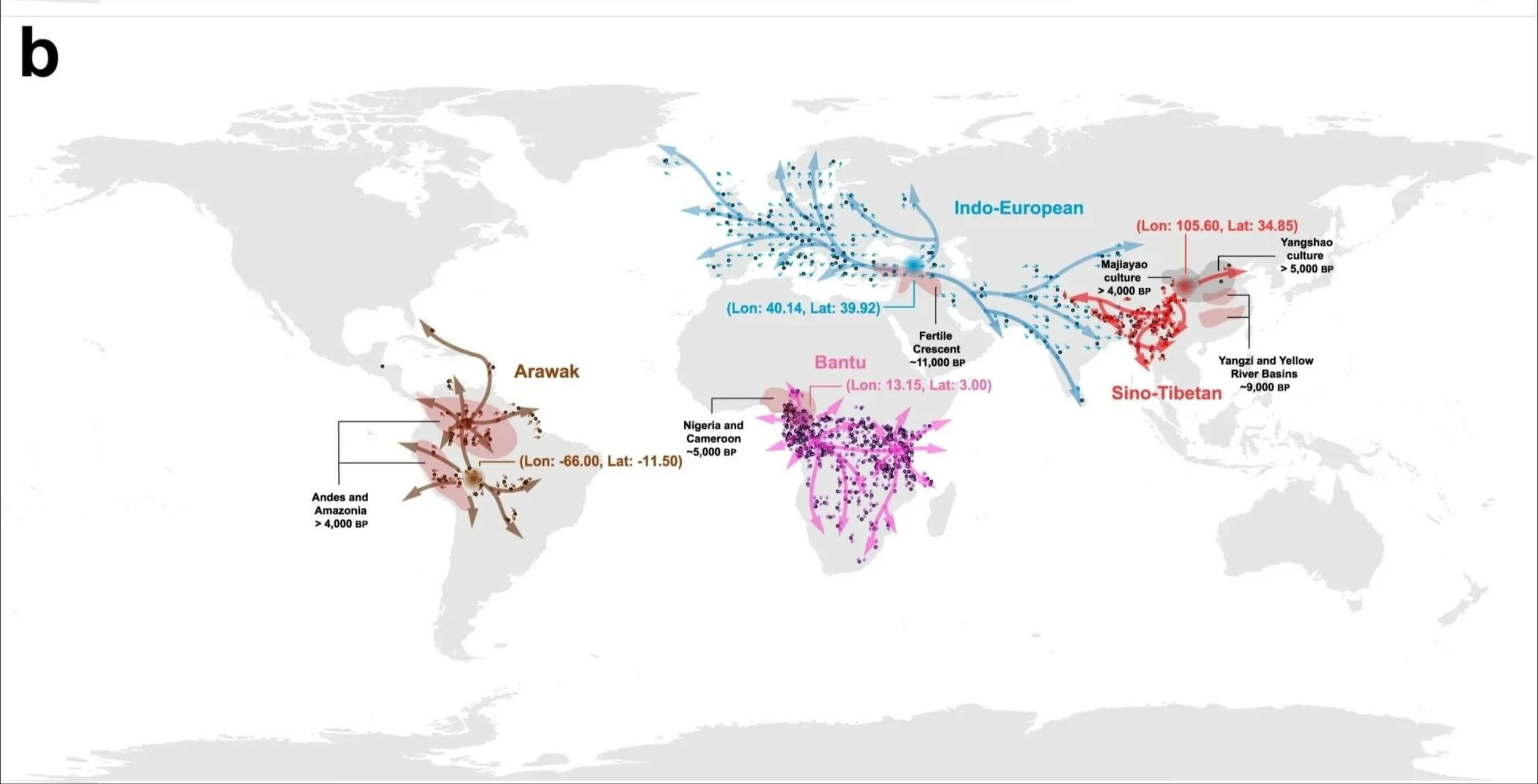 New Study Traces Linguistic Paths: How Language Dispersal Echoes ...