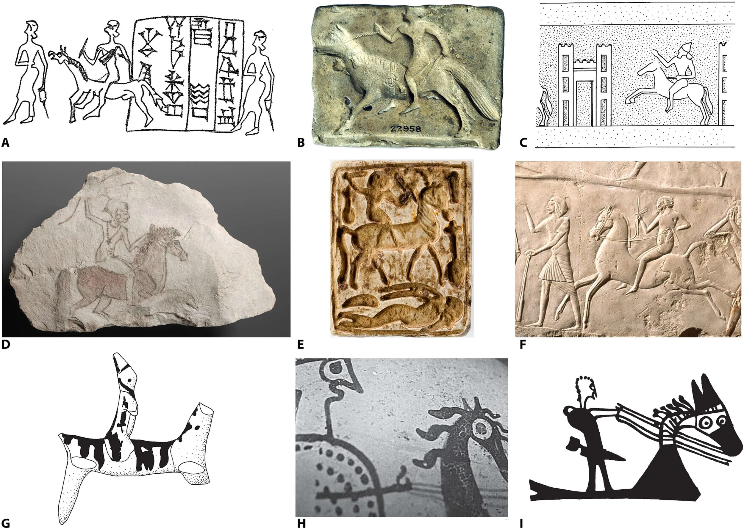 Revisiting the Roots of Horsemanship: A Critical Analysis of Early ...