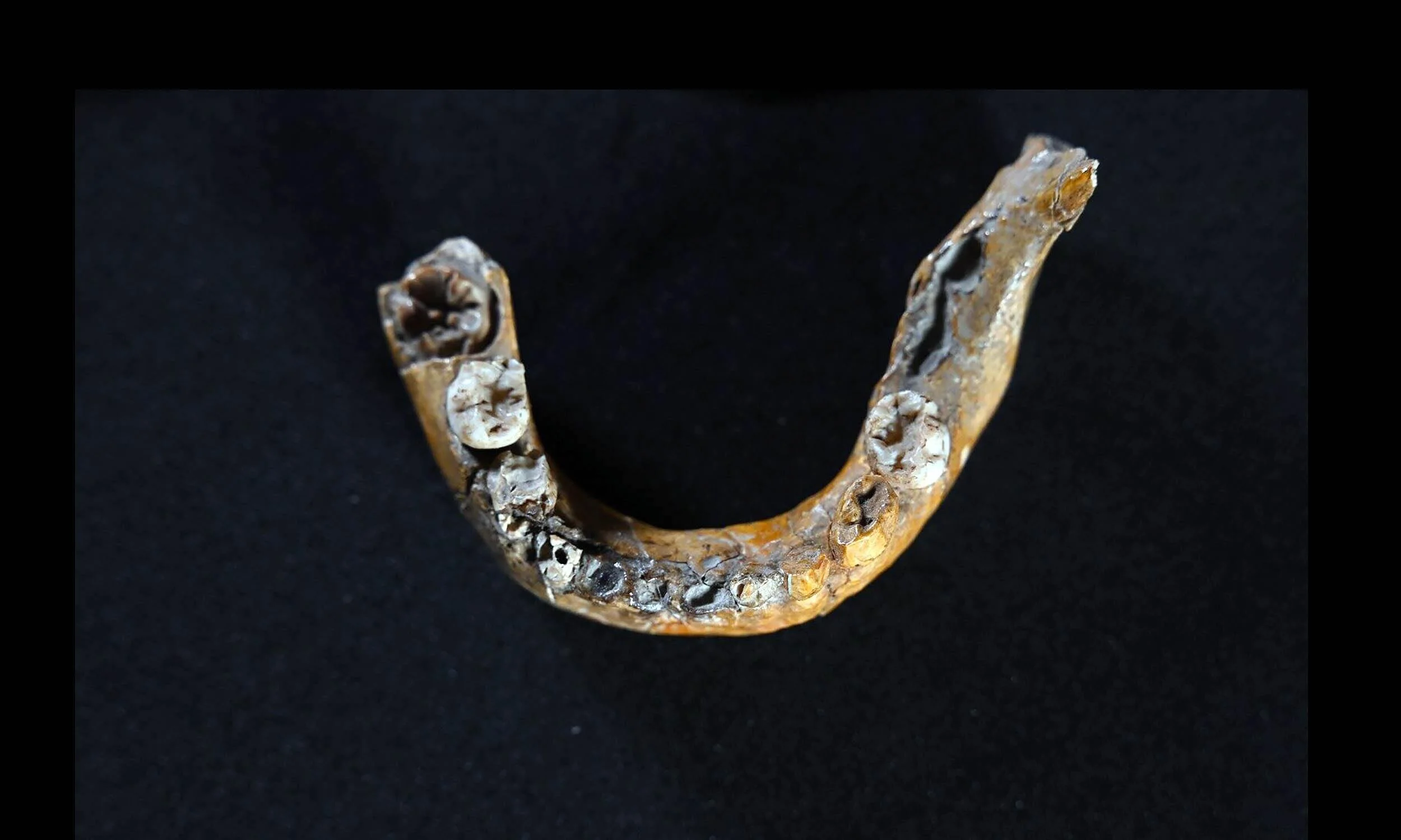 The Oldest Known Human Fossil that Blends Homo Sapiens and Neanderthal ...