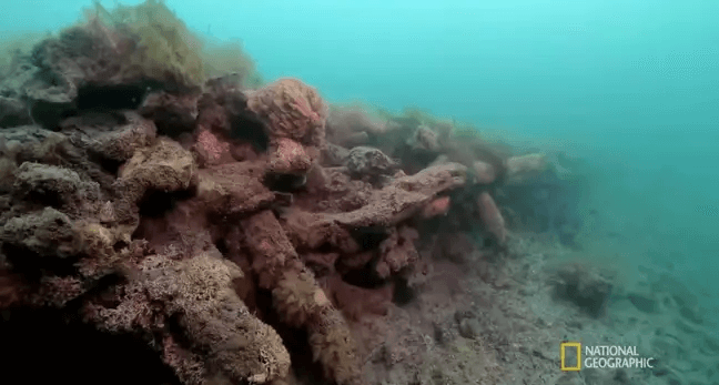 Archaeologists searched the English Channel and discovered a "lost ...