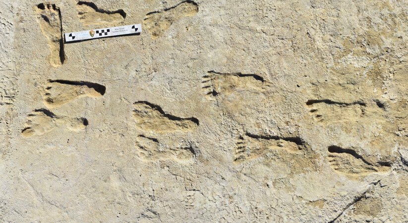 23,000 Years Ago: New Research Sheds Light on Early Human Presence in ...