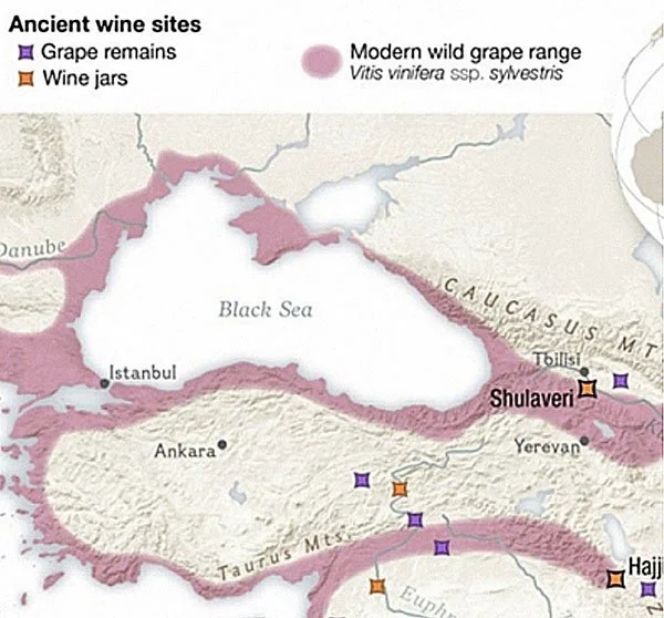 Proto-Anatolians: From the Southern Caucasus or the Balkans?