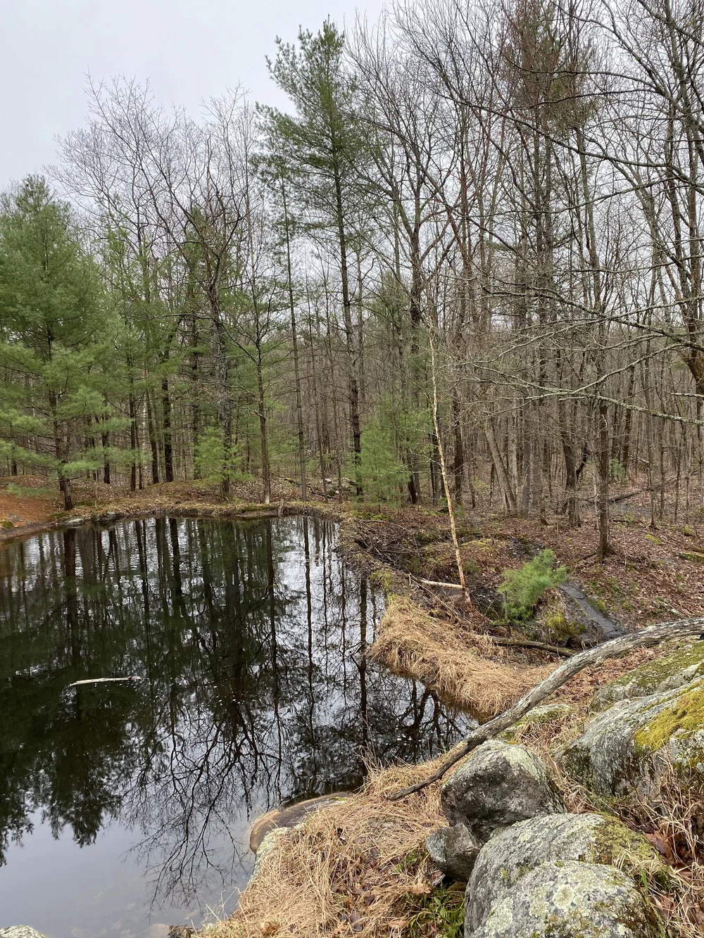 Gravenhurst — Trails — Away We Go Trips