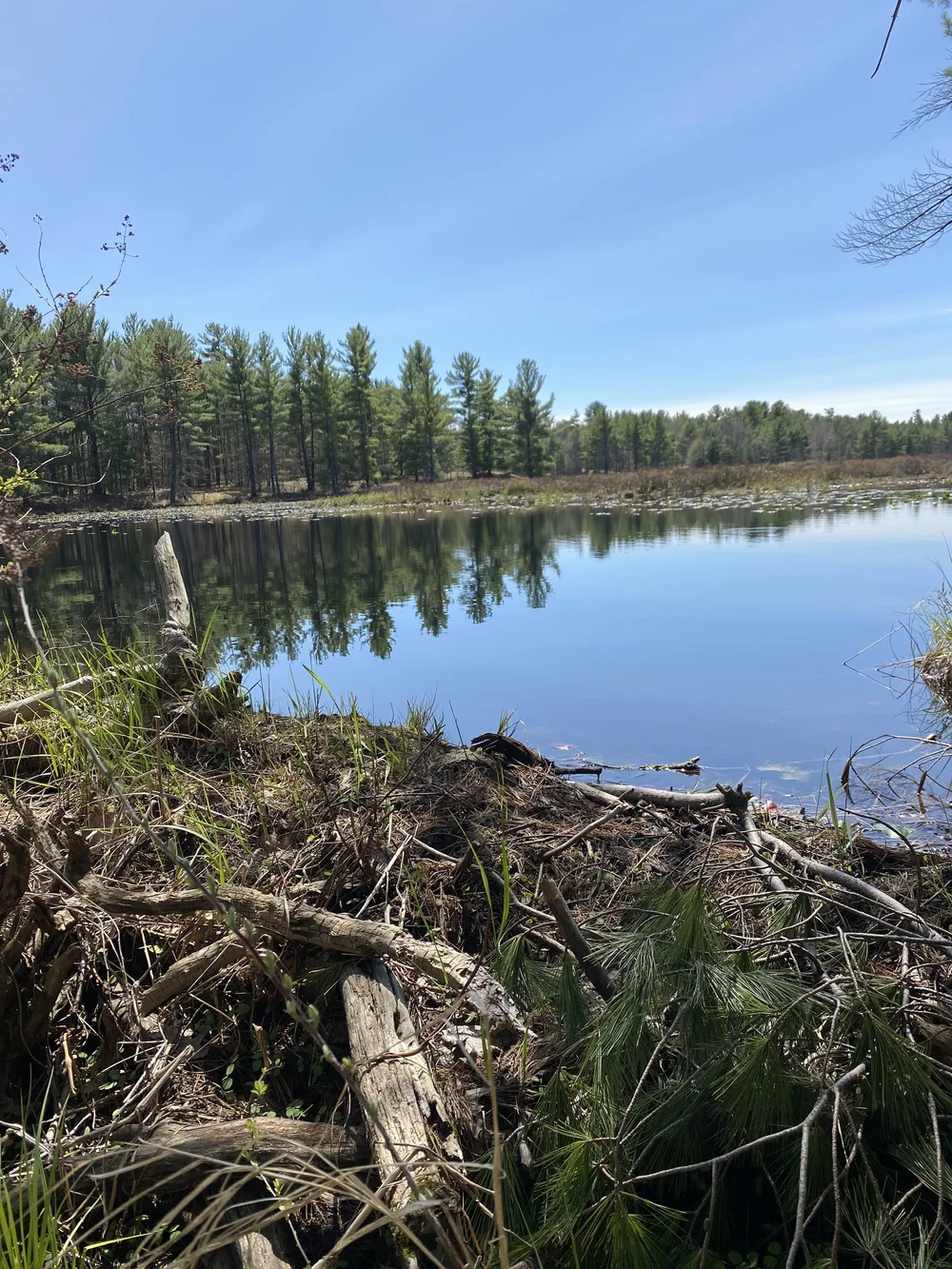 Gravenhurst — Trails — Away We Go Trips