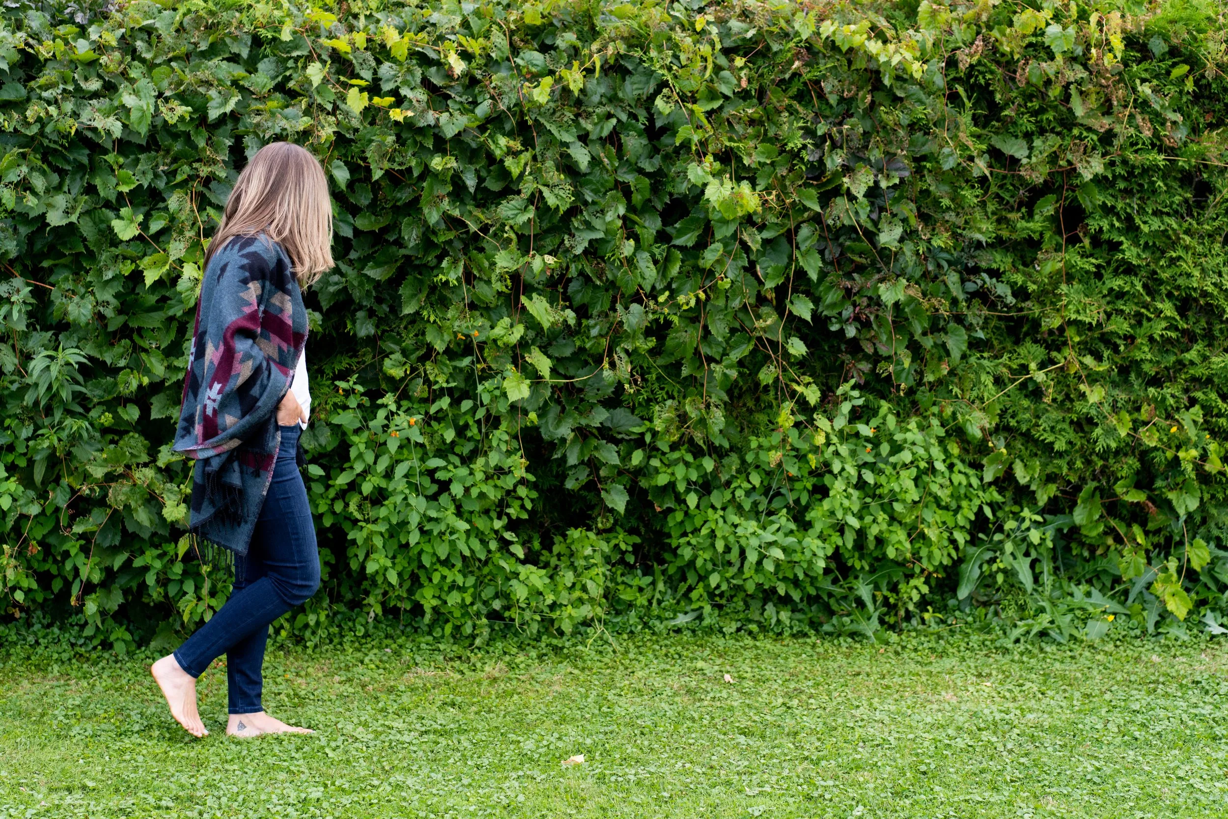 Massage Therapy — Annie Bray Somatics