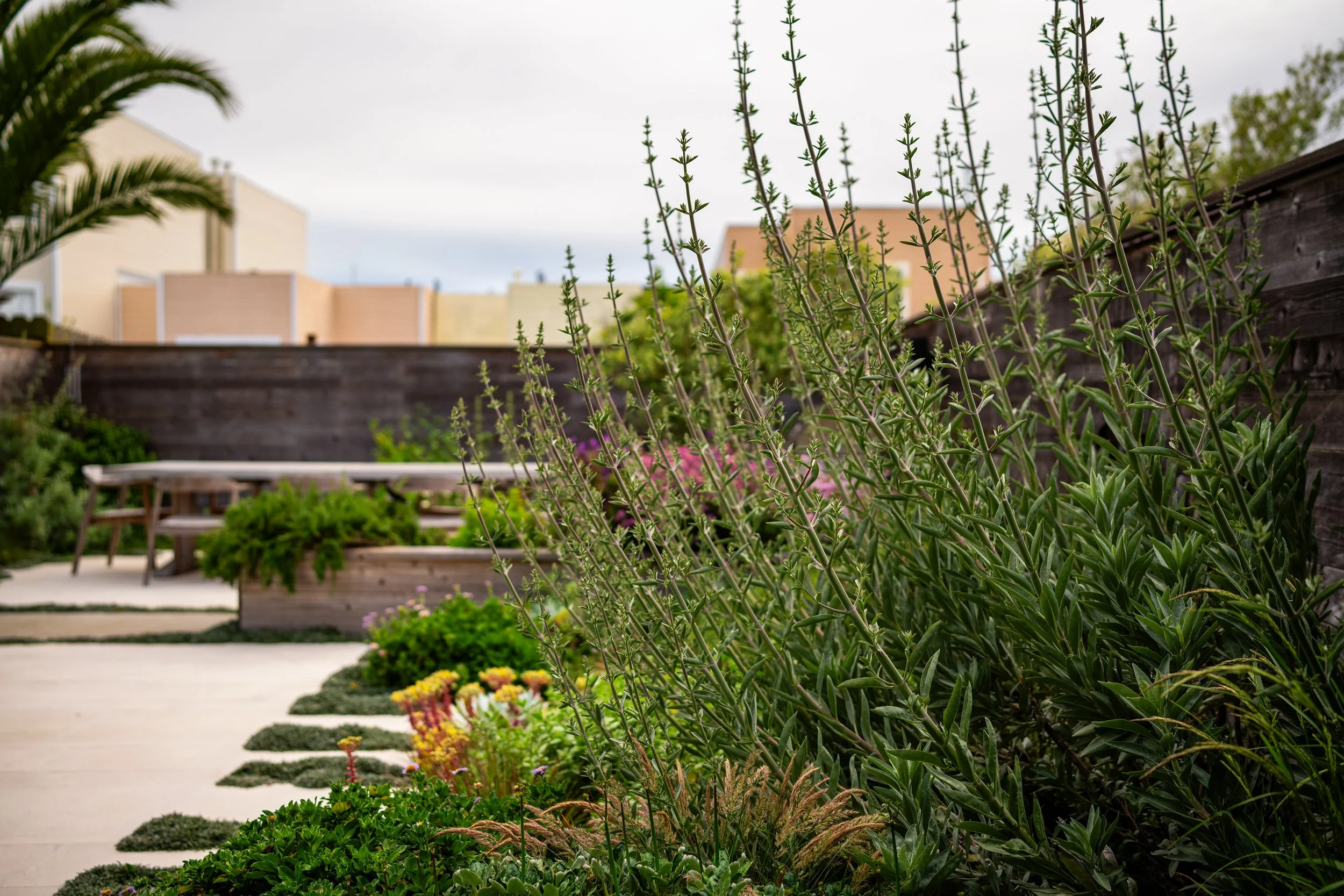 Seed Studio Landscape Design : : Modern Gardens + Urban Ecology for the ...