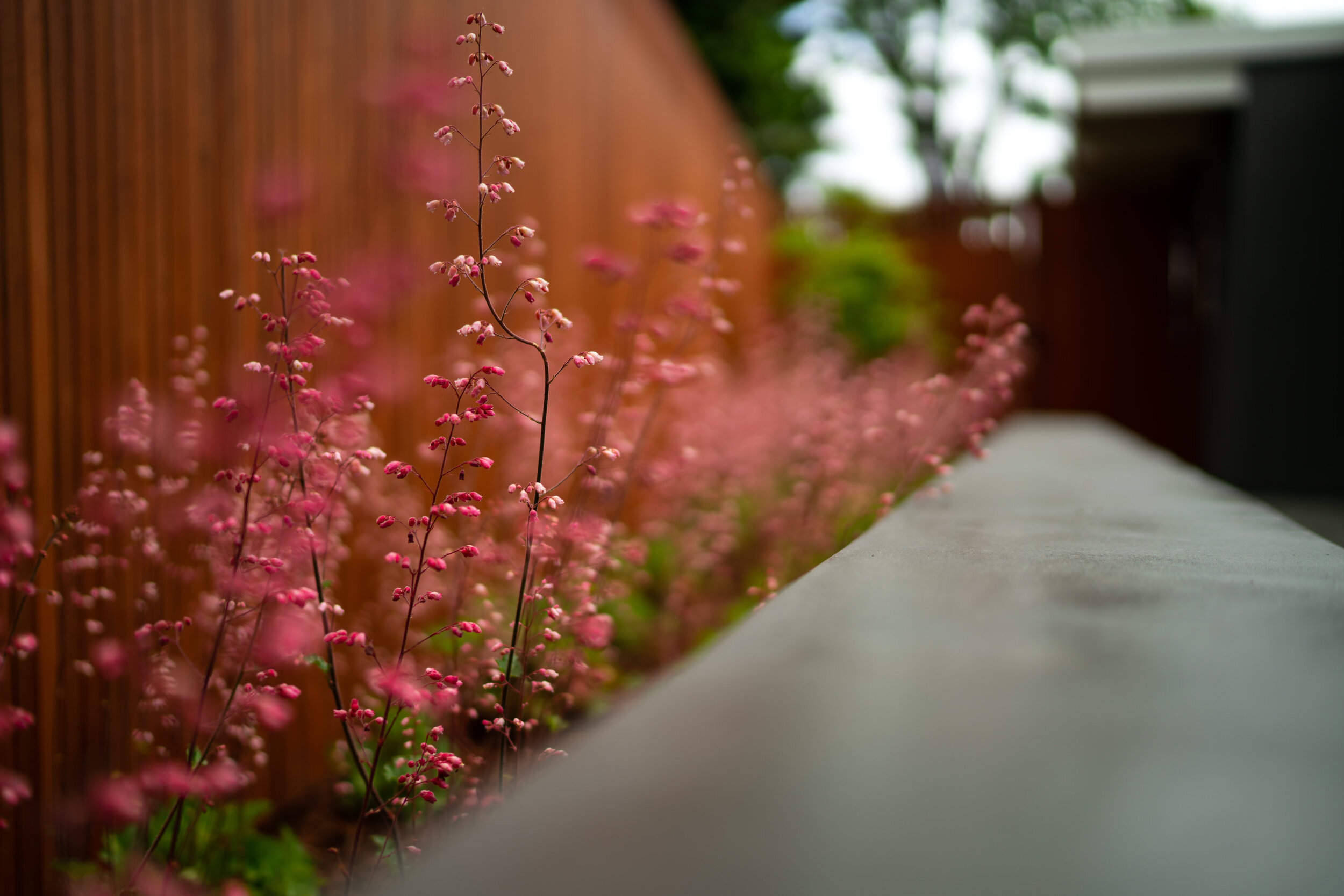 Seed Studio Landscape Design : : Modern Gardens + Urban Ecology for the ...