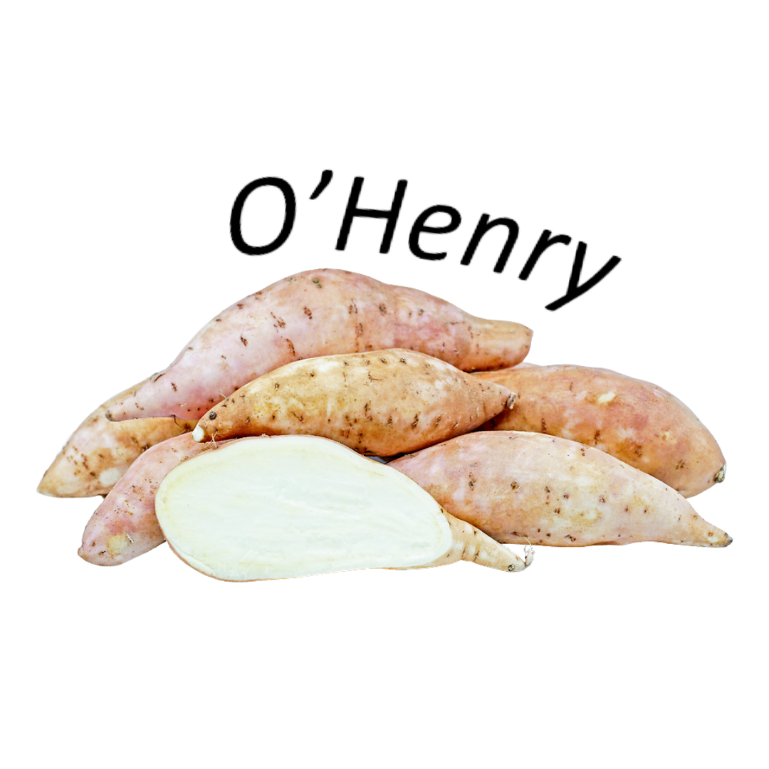 North Carolina Sweetpotatoes — NCLFC - North Carolina Local Food Council