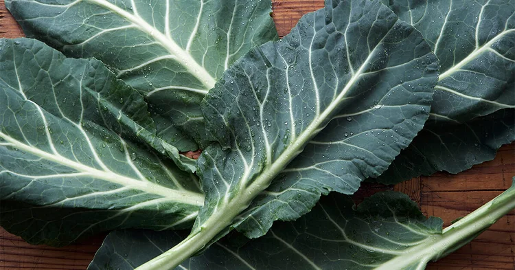 North Carolina Collards — NCLFC - North Carolina Local Food Council