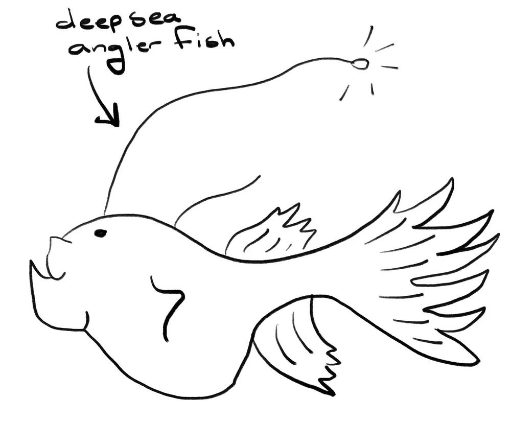 How Do Animals in the Deep Ocean Handle the Pressure? — Science for ...