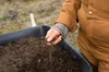 8 Common Soil Problems and Solutions: What to Do When Your Garden is ...