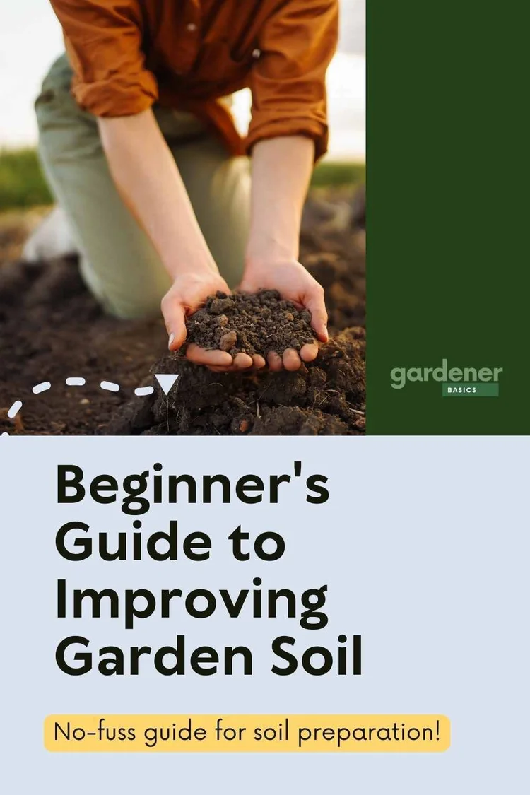 The Beginner's Guide to Improving Garden Soil