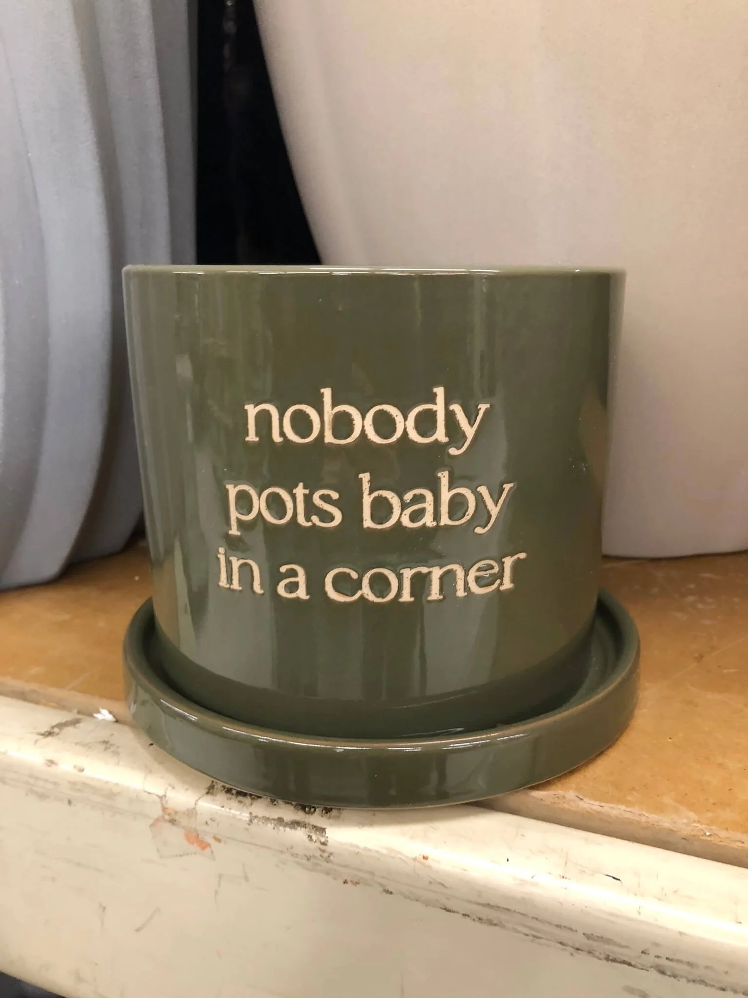 Pots of Laughs: The Best Ceramic Plant Pots with a Sense of Humor