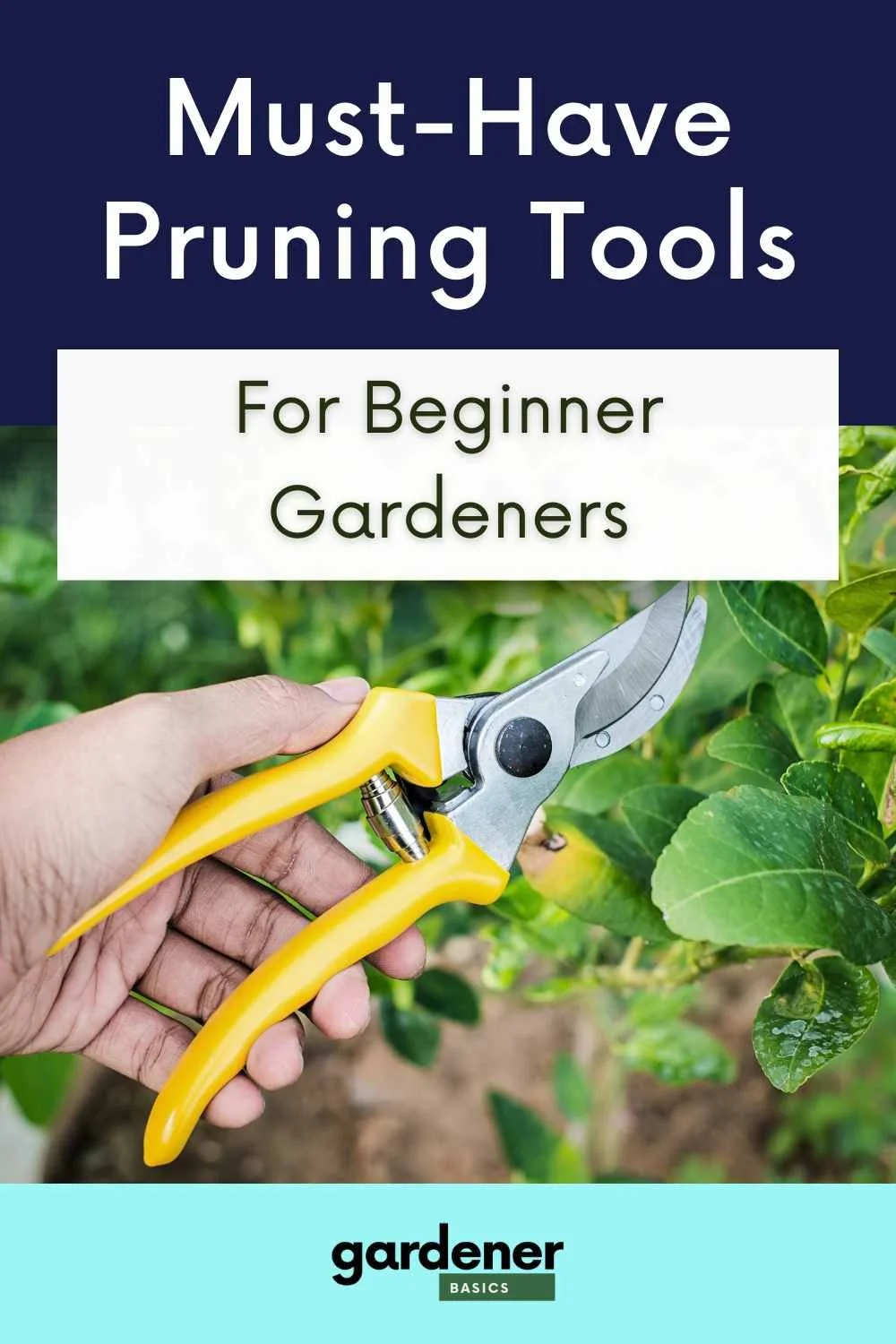 The Ultimate Guide to Pruning Tools: What You Need to Get Started