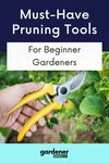 The Ultimate Guide to Pruning Tools: What You Need to Get Started