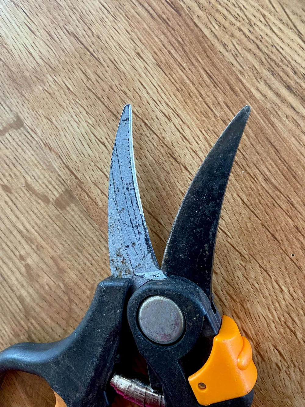 The Best Way to Keep Your Gardening Tools Sharp: A Review of SHARPAL