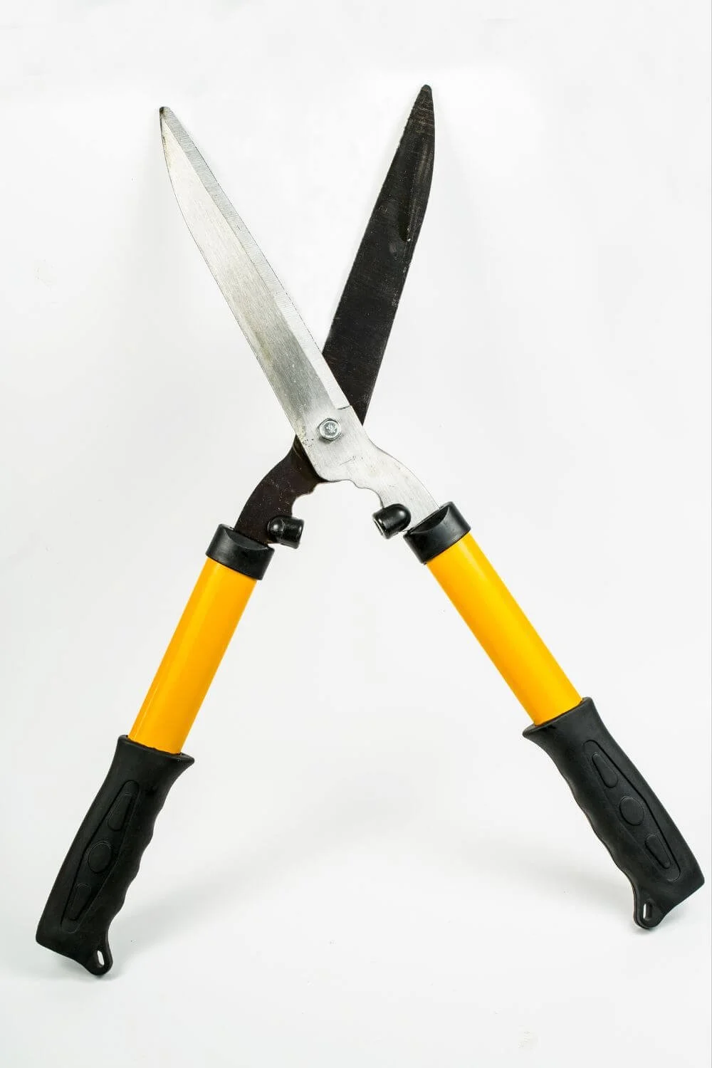 The Ultimate Guide to Pruning Tools: What You Need to Get Started