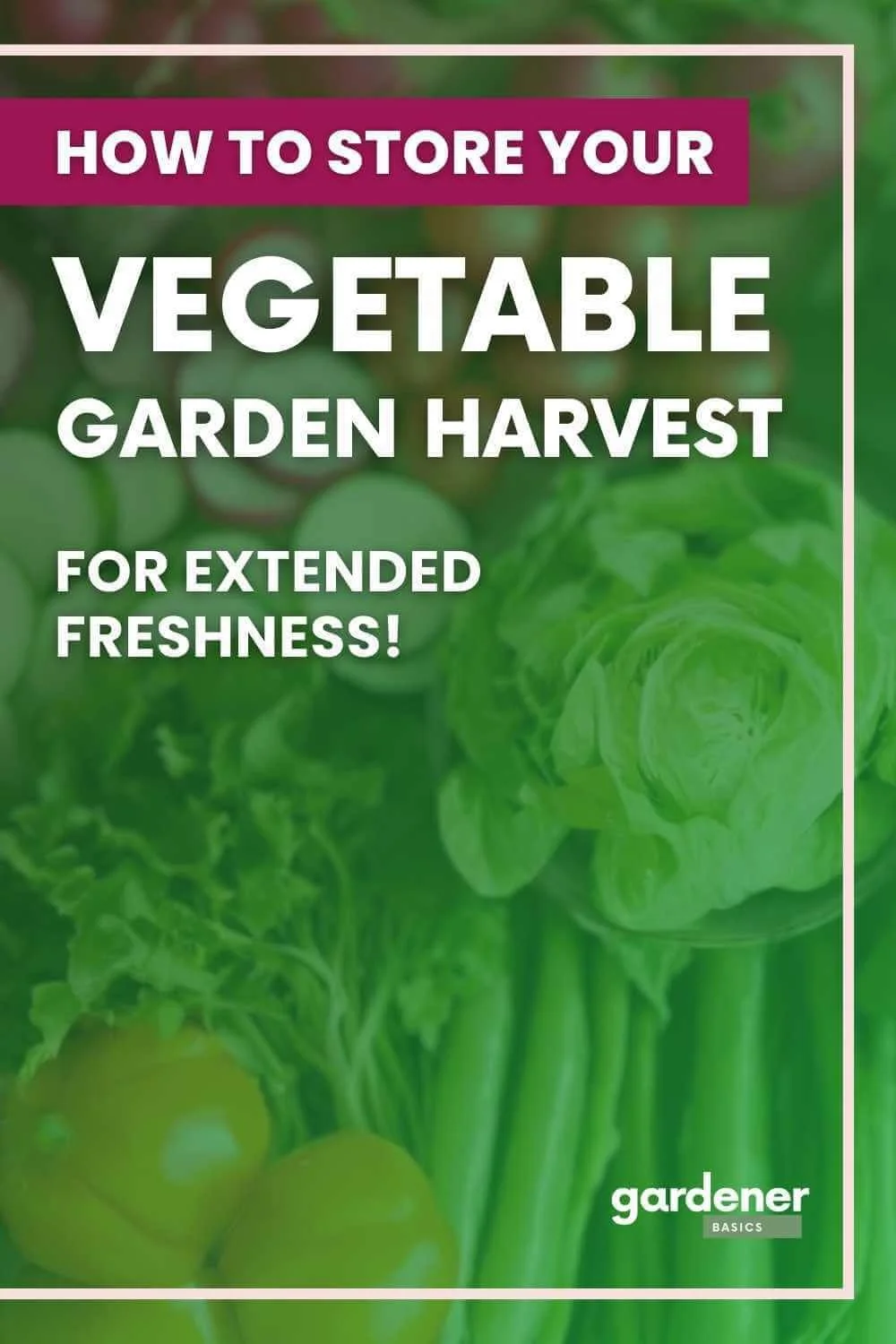 Freshness Extended: The Ultimate Guide to Storing Your Harvest