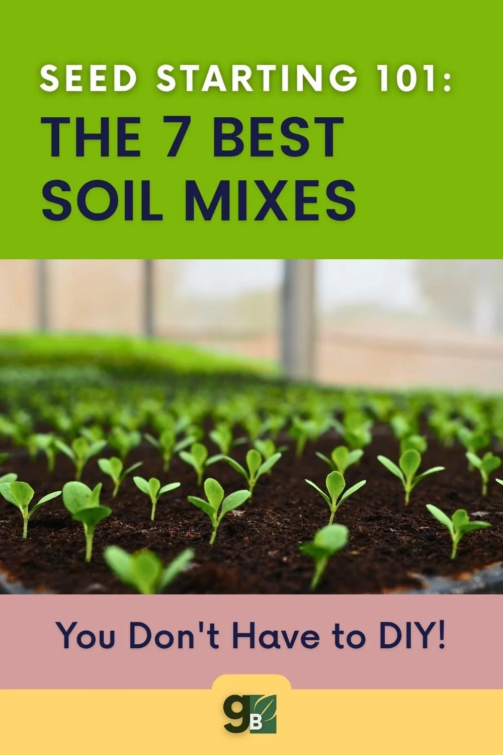 The Best Seed Starting Mix For Your Garden: A Comprehensive Review