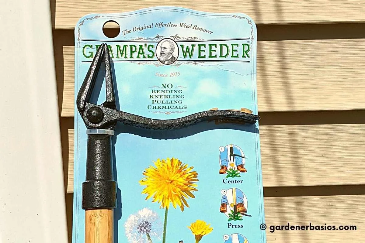 Grampa's Weeder Review: Say Goodbye to Back-Breaking Weeding