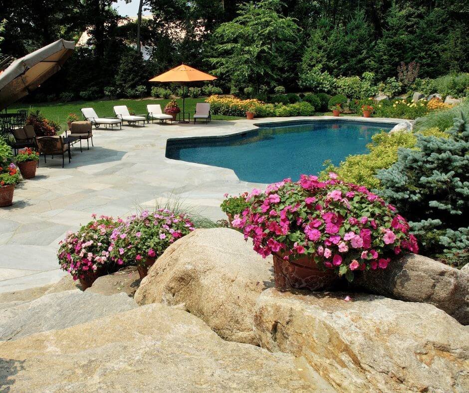 The Foolproof Way to Prune Limelight Hydrangeas for Gorgeous Flowers