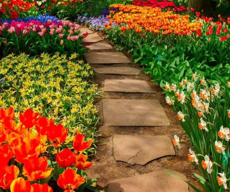 Landscape Border Ideas That Beginners Will Love (And Can Actually ...