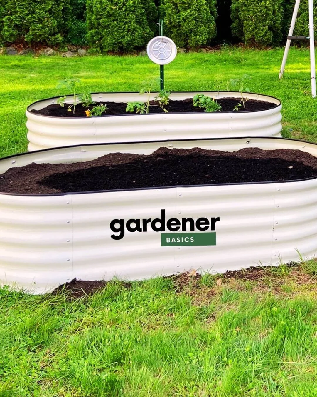 When to Plant a Vegetable Garden