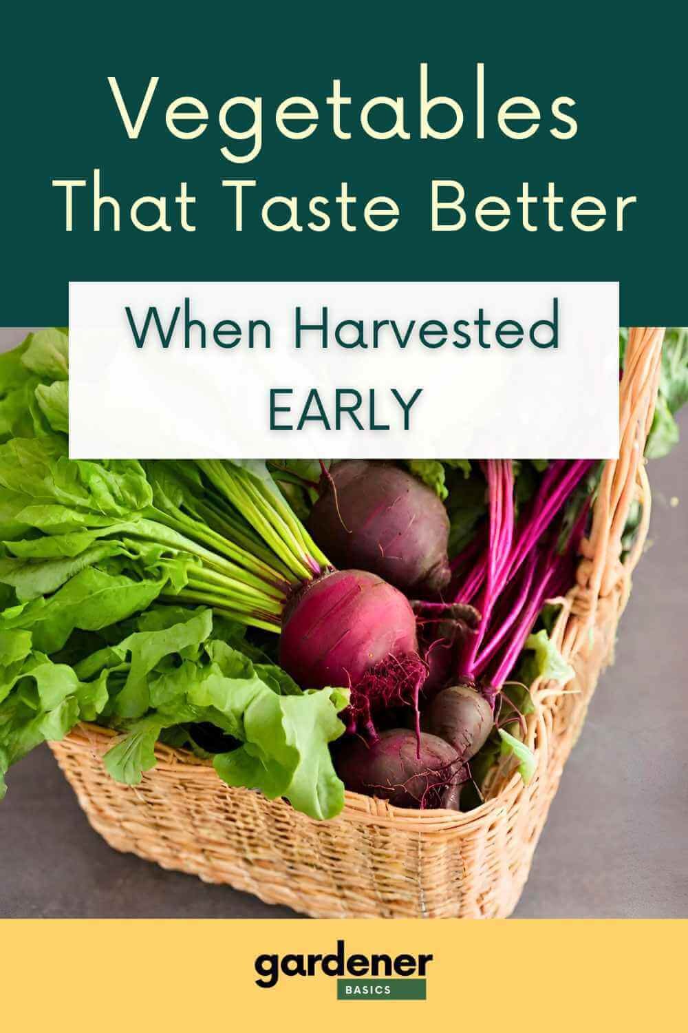 Early Picks: Vegetables That Taste Better When Harvested Sooner