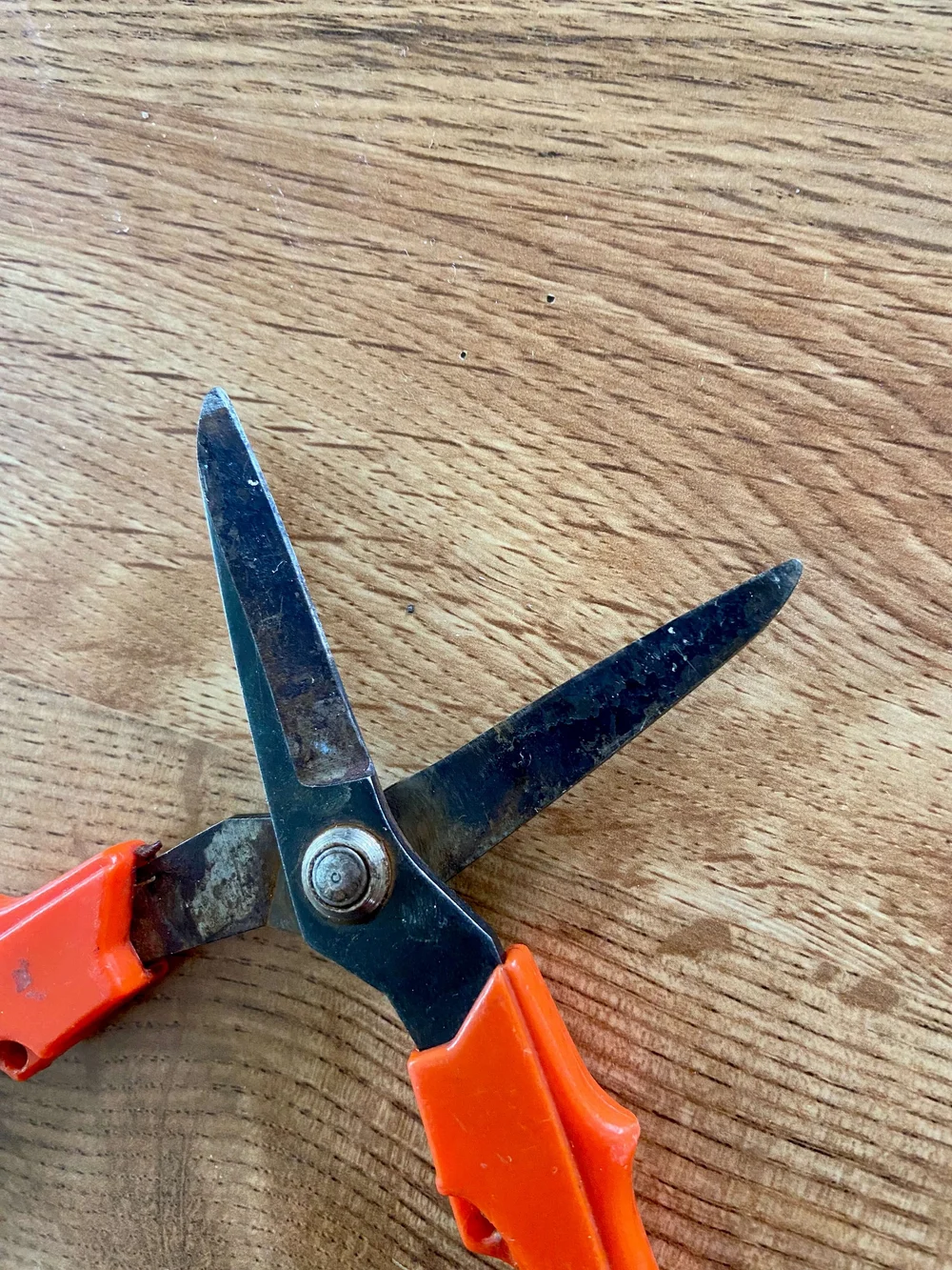 The Best Way to Keep Your Gardening Tools Sharp: A Review of SHARPAL