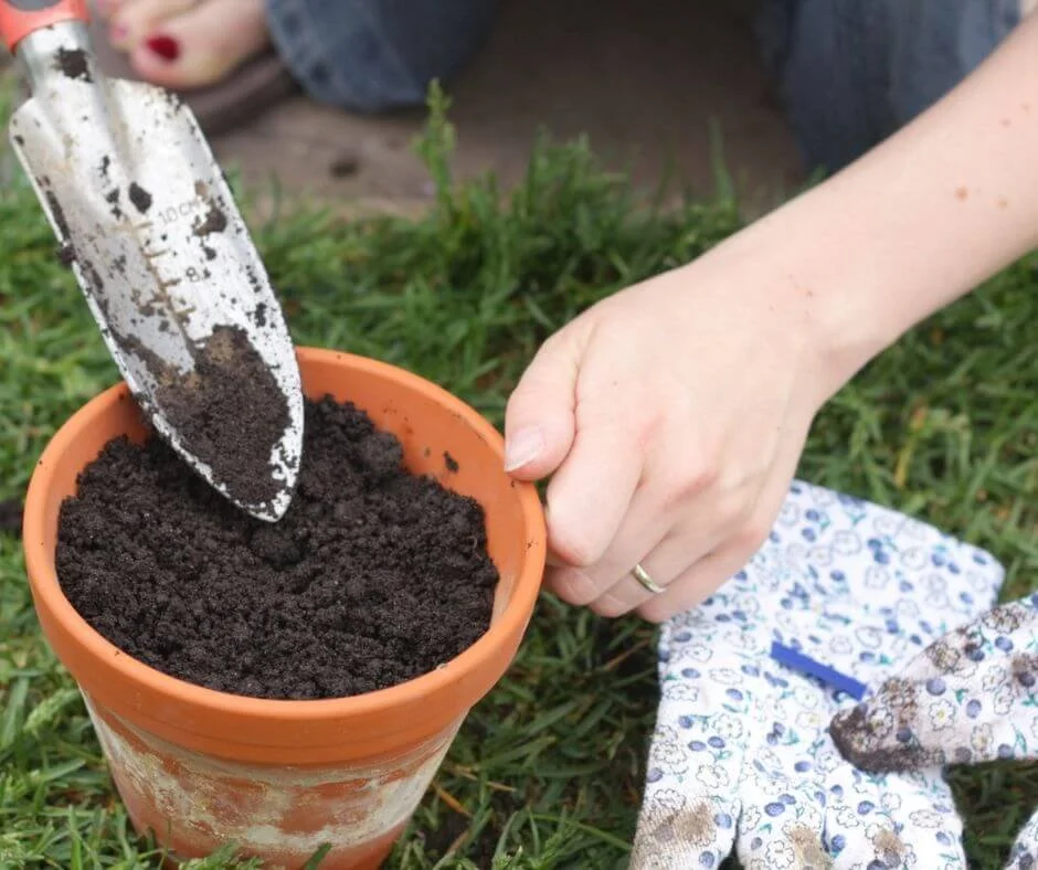 The Best Potting Soil for Vegetables: A Gardener’s Guide