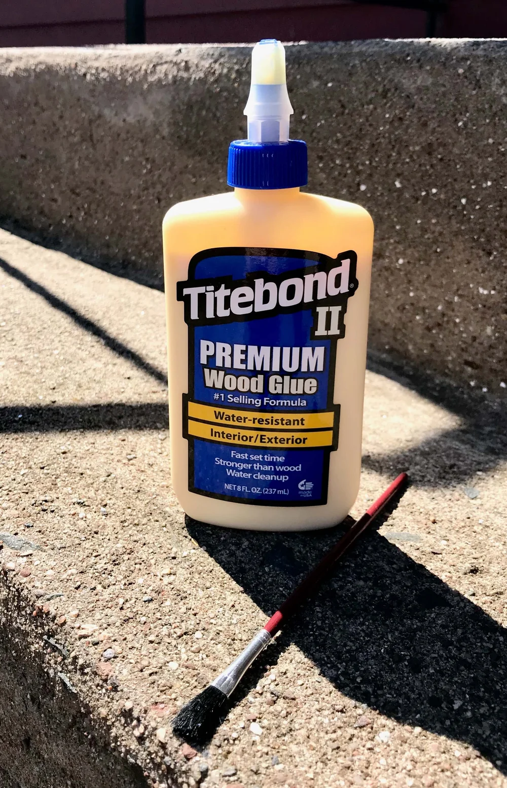 Hydrangea Cane Borer: A Harmful Invader; How to Treat it