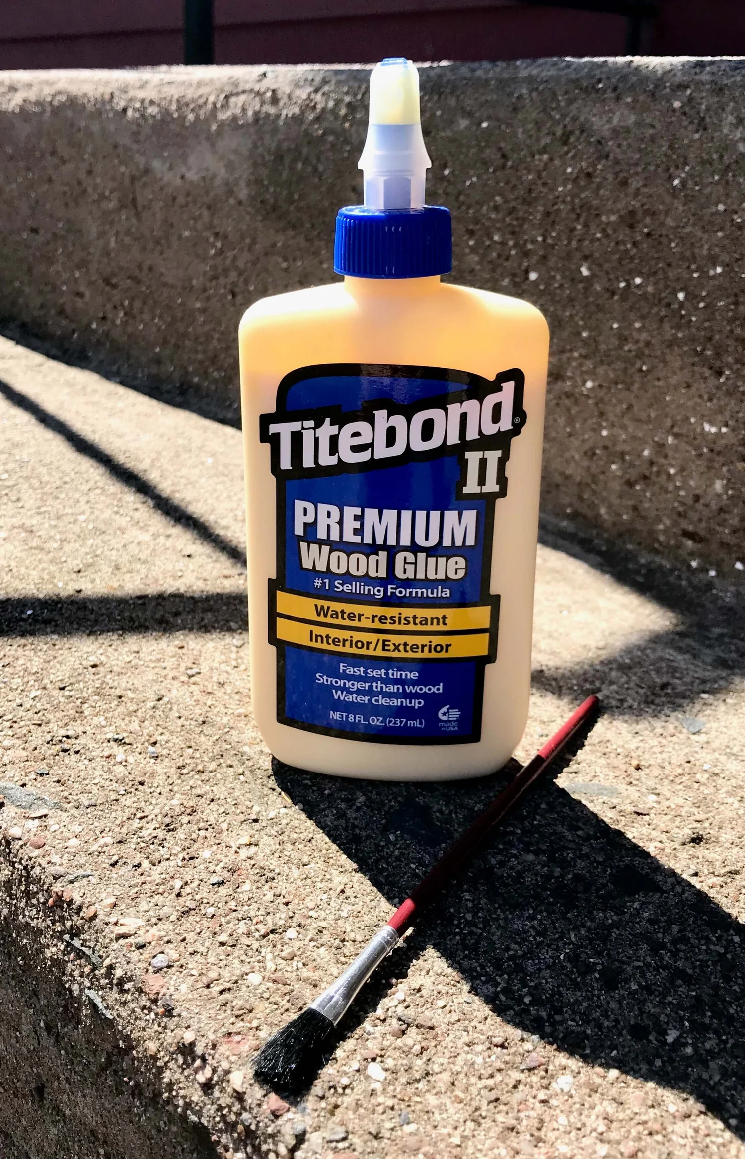 Hydrangea Cane Borer: A Harmful Invader; How to Treat it