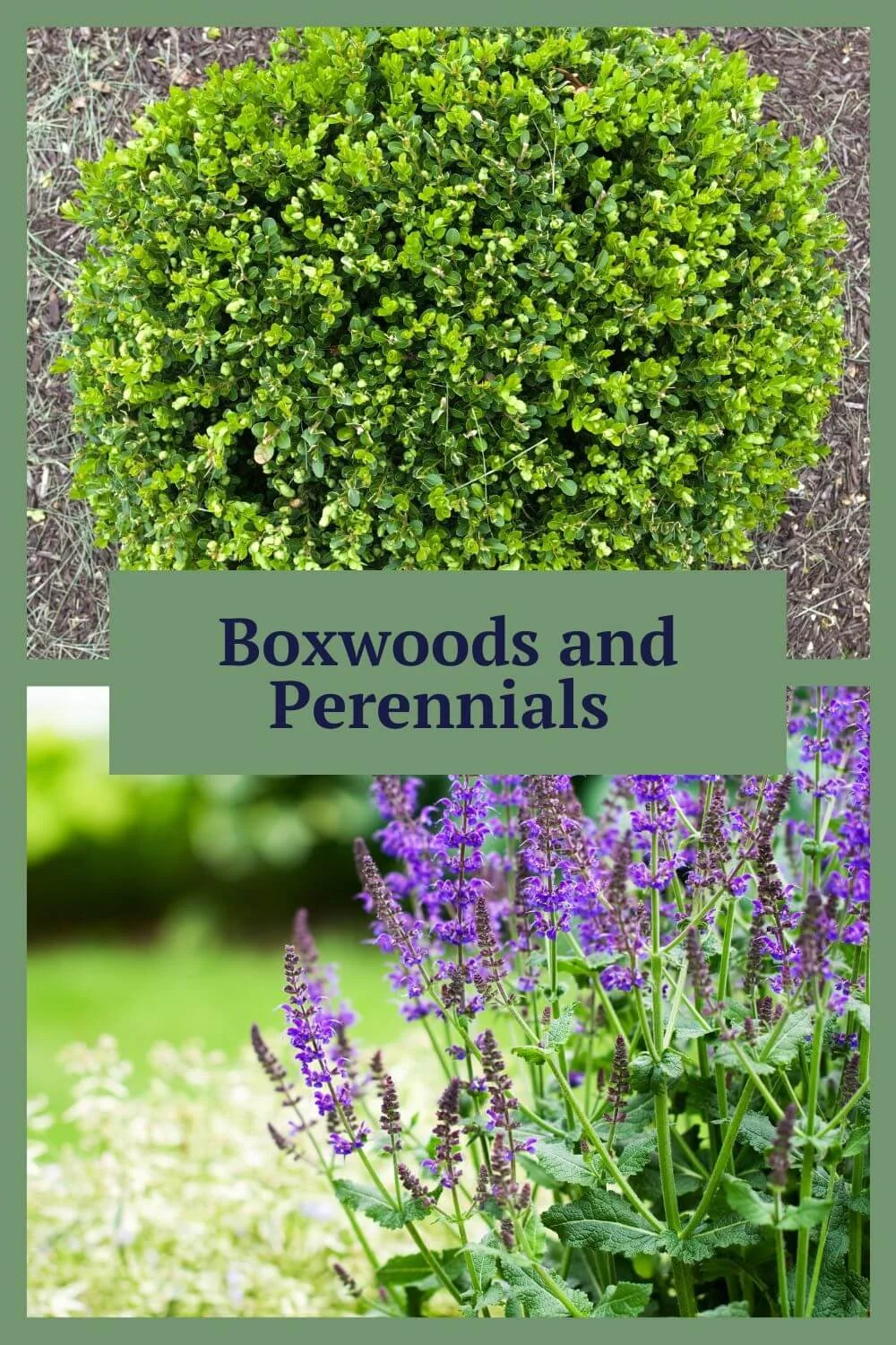 Landscape Border Ideas That Beginners Will Love (And Can Actually ...