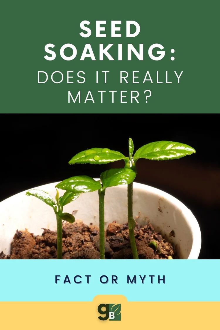Get the Truth: Does Soaking Seeds Before Planting Really Improve ...