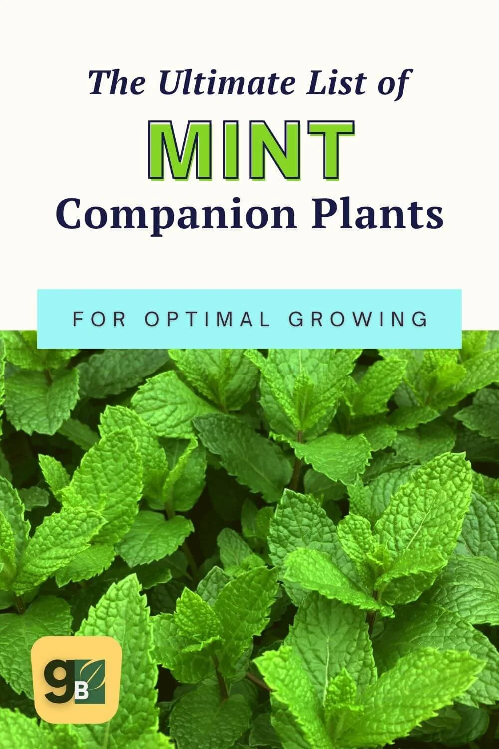 Mint Companion Plants: Friends and Foes