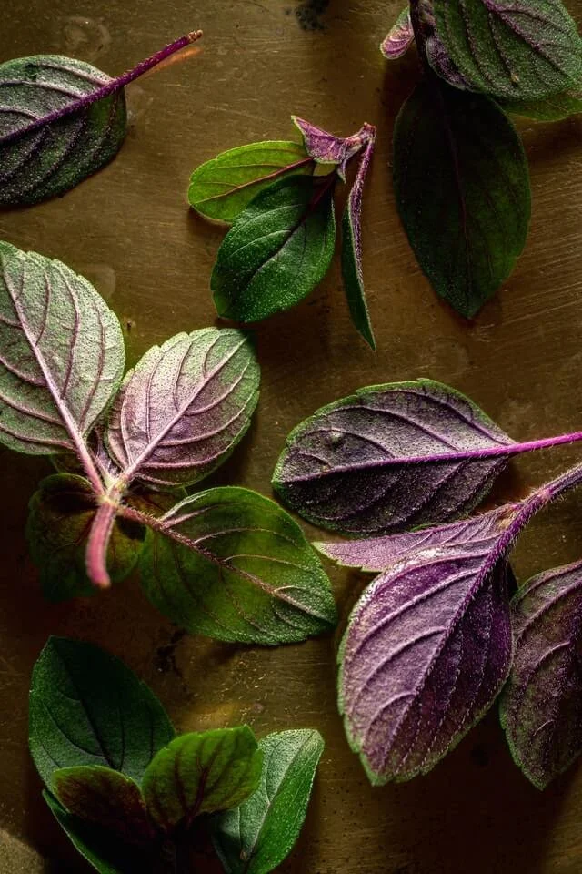 7 Reasons For Your Basil Leaves Wilting And Solutions To Fix It