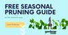 The Ultimate Guide to Pruning Tools: What You Need to Get Started