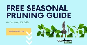 The Ultimate Guide to Pruning Tools: What You Need to Get Started
