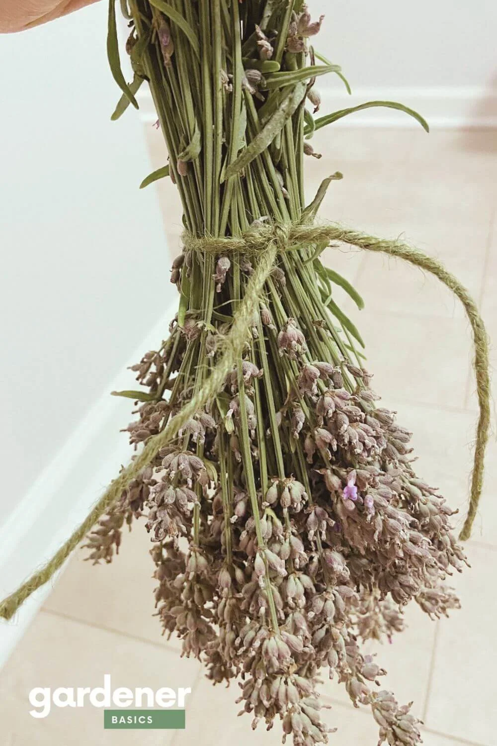 How to Dry Lavender (The Easy Way — No Fancy Tools Needed)