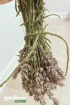 How to Dry Lavender (The Easy Way — No Fancy Tools Needed)