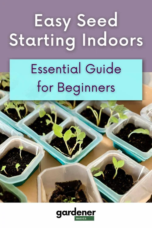 Starting Seeds Indoors: A Beginner's Guide to Success
