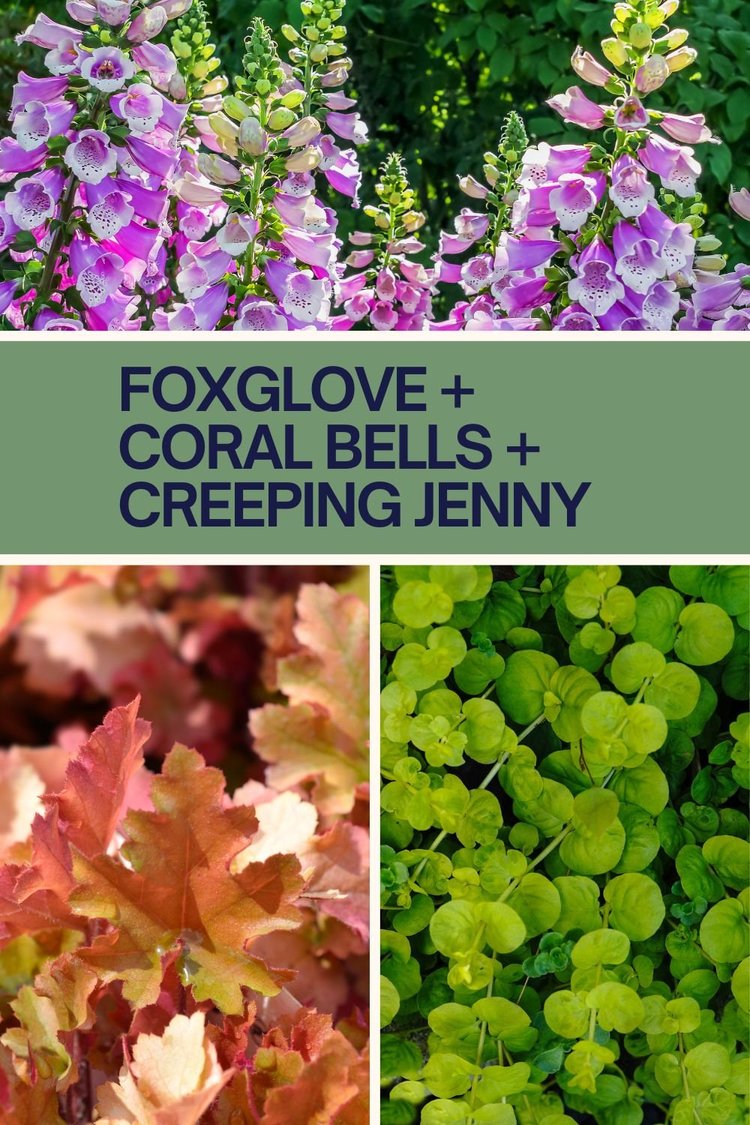 Plant This with That: Flower Pairings for a Gorgeous Garden