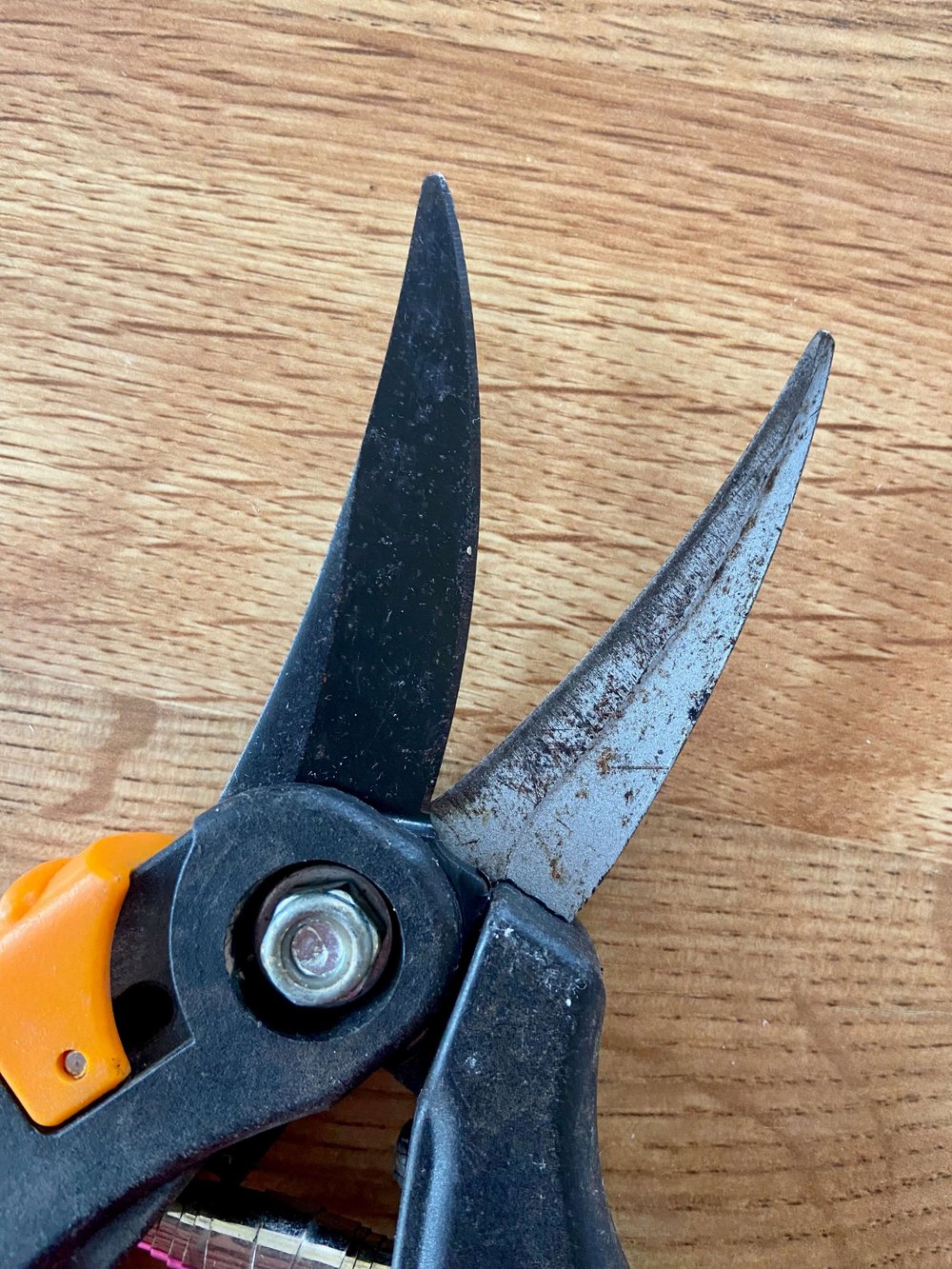 The Best Way to Keep Your Gardening Tools Sharp: A Review of SHARPAL