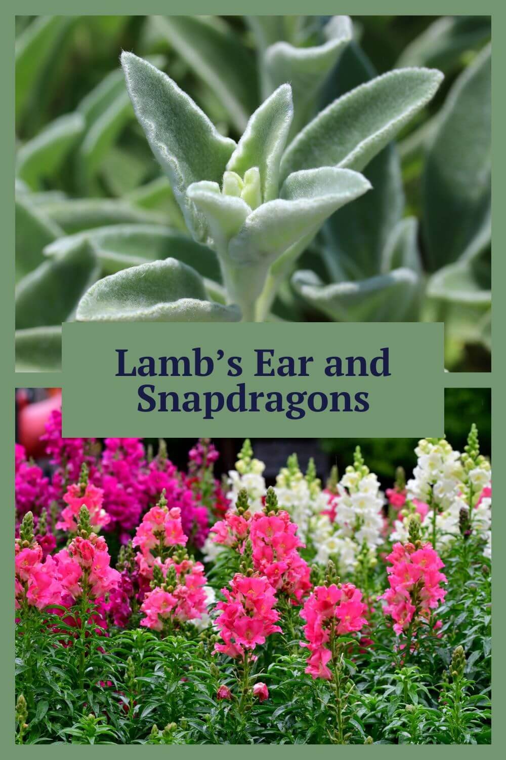 Landscape Border Ideas That Beginners Will Love (And Can Actually ...