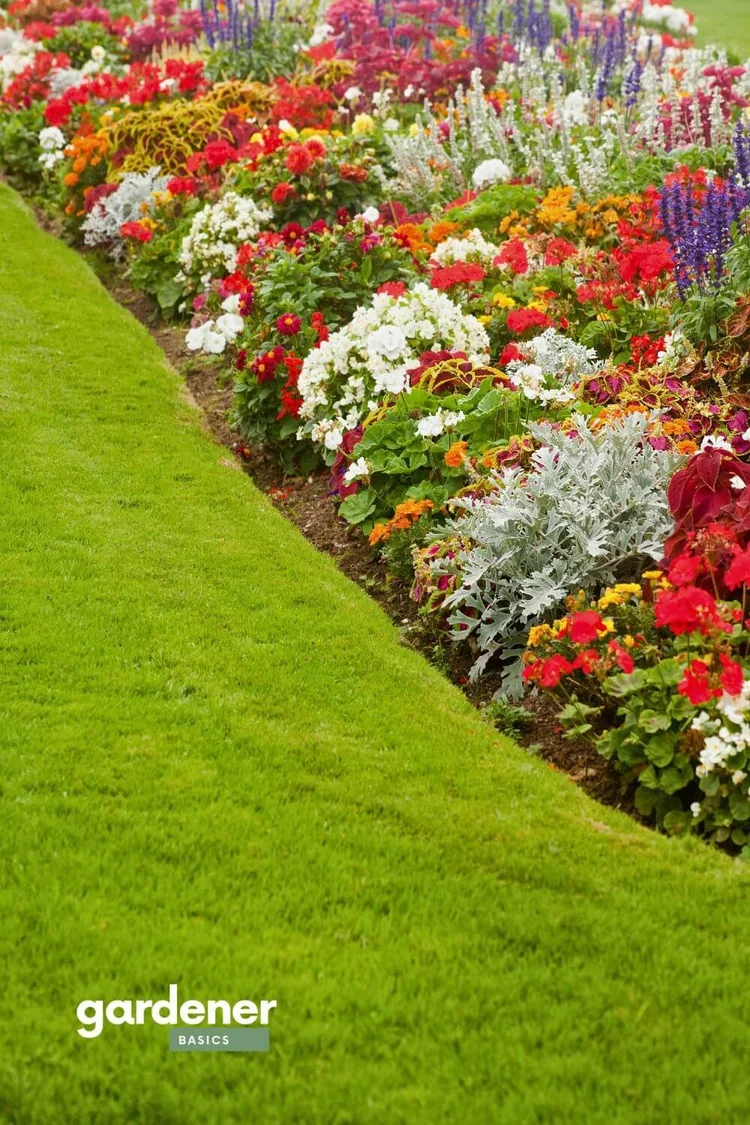 Flower Bed Layout Basics: Creating a Beautiful and Functional Garden