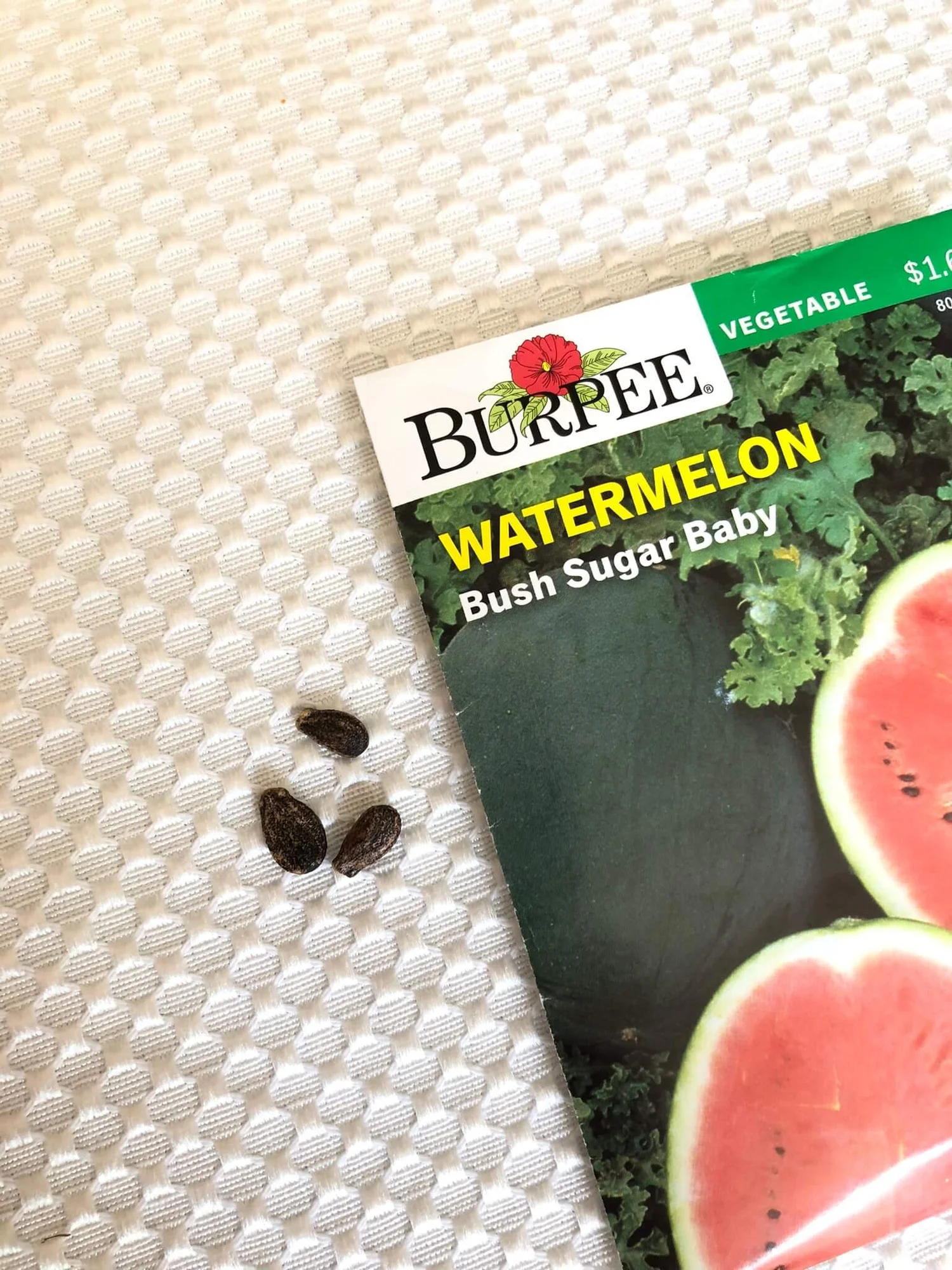 Growing Watermelon in Grow Bags: A Step-by-Step Guide